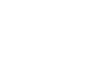 Wild Lot Distillery – Crafted with Curiosity, Serve with Purpose